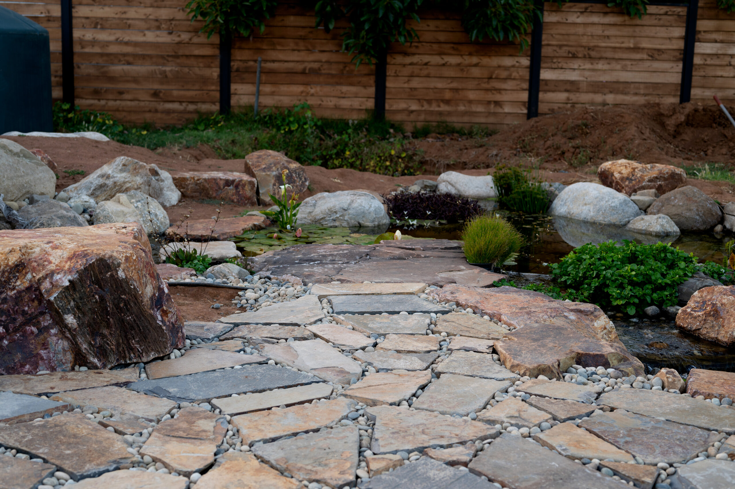 Rainwater collector in your backyard - Sara Bendrick