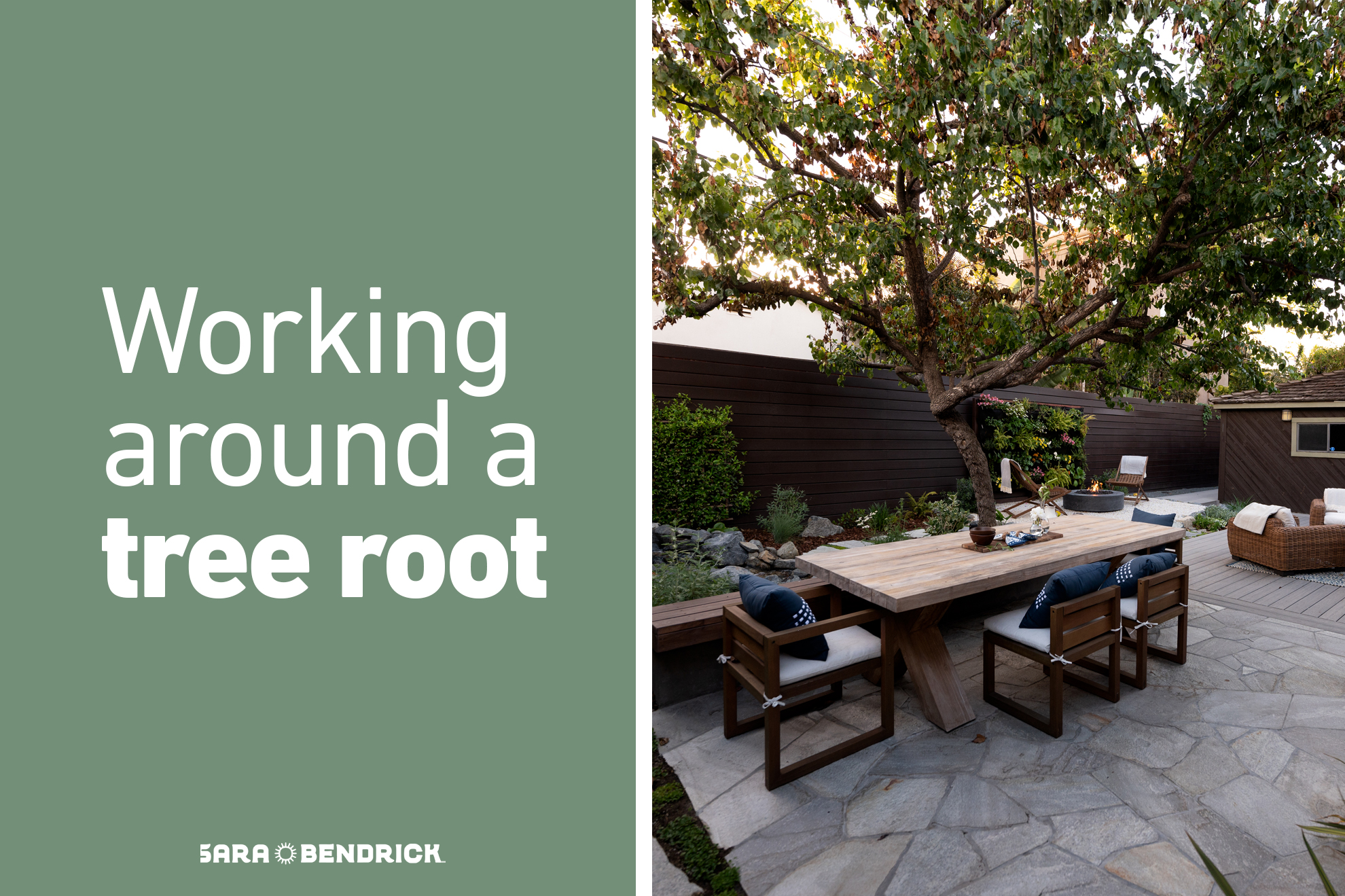 Building near a tree root - Sara Bendrick